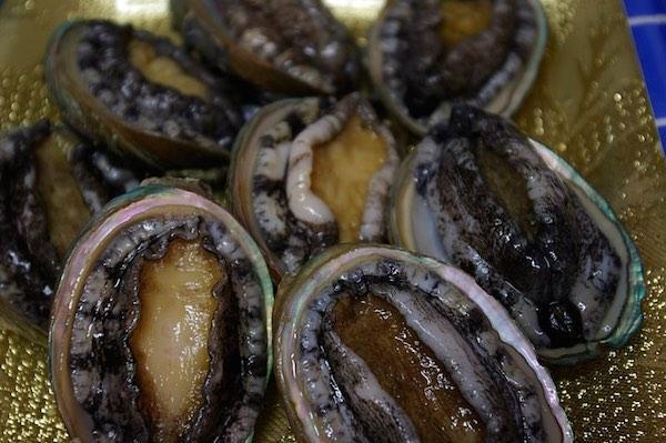What is Abalone and is it an Aphrodisiac?